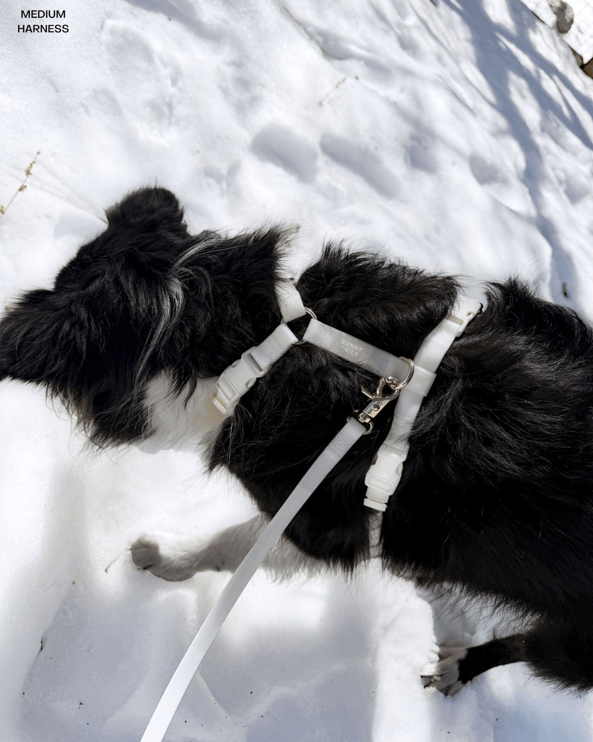 Lunar Glow Cloud Lite Dog Harness | Glow in Dark Waterproof Dog Harness ...