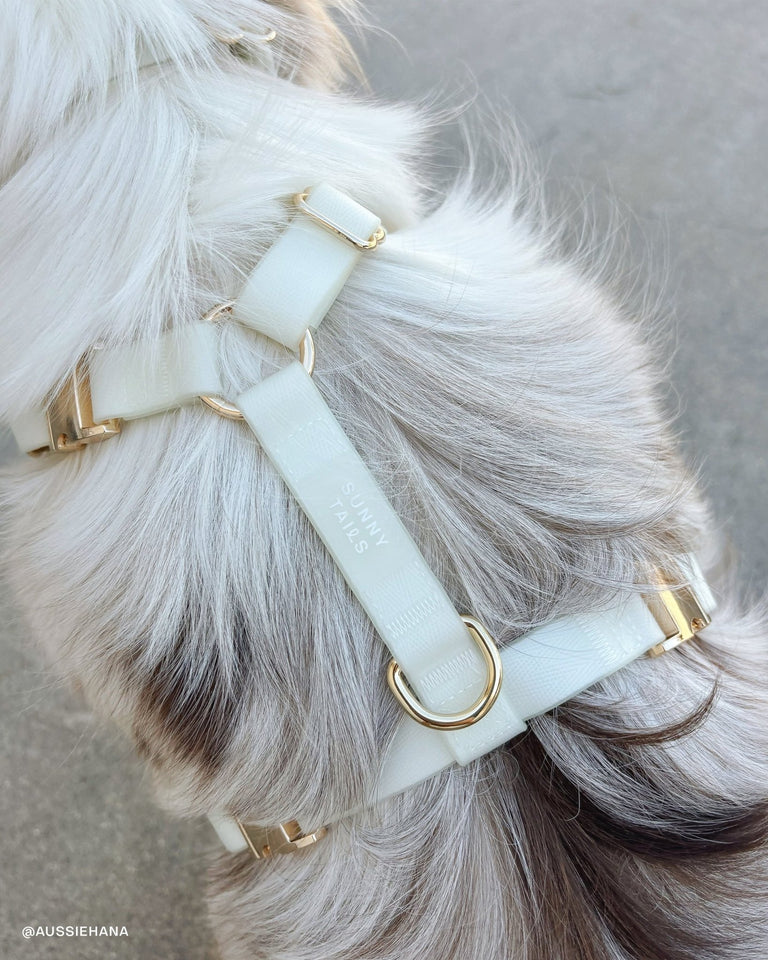 Lunar Glow Cloud Lite Dog Harness | Glow in Dark Waterproof Dog Harness ...