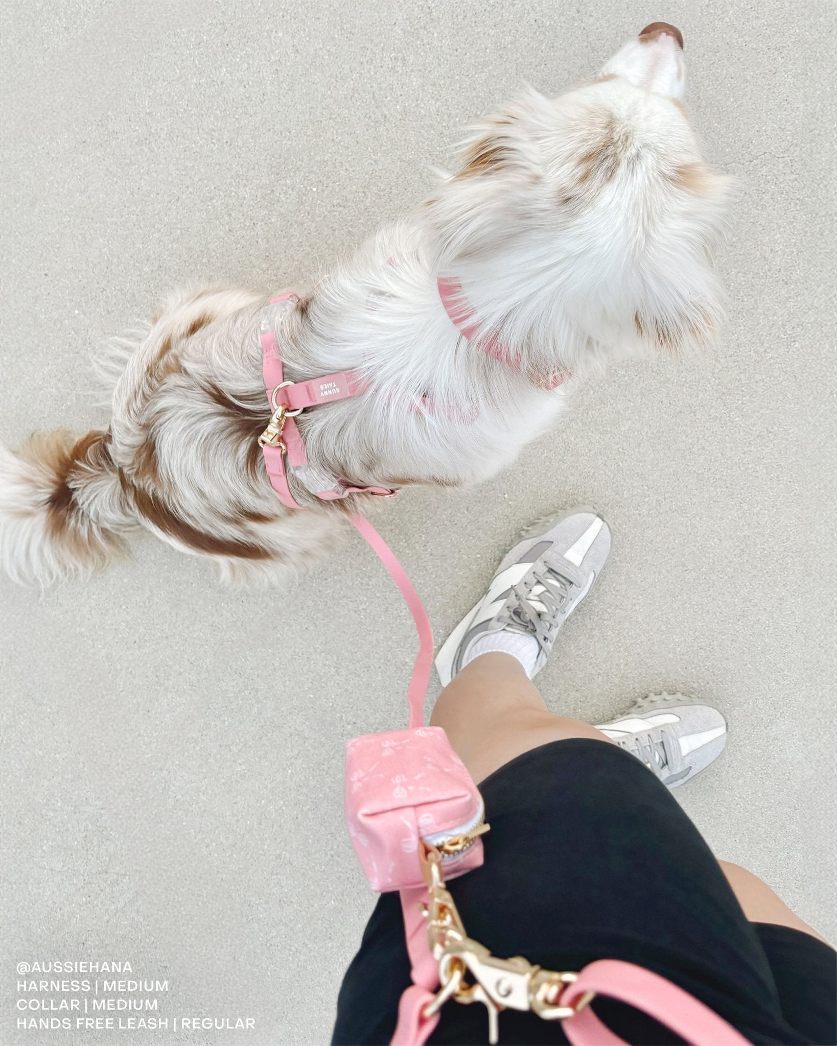 Coquette Pink Waste Bag Holder | Pink Bow Pattern Poop Bag Holder | Dog ...