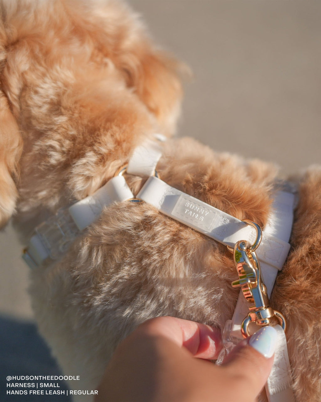 Cloud White Cloud Lite Dog Harness | Waterproof Dog Harness | No Pull ...
