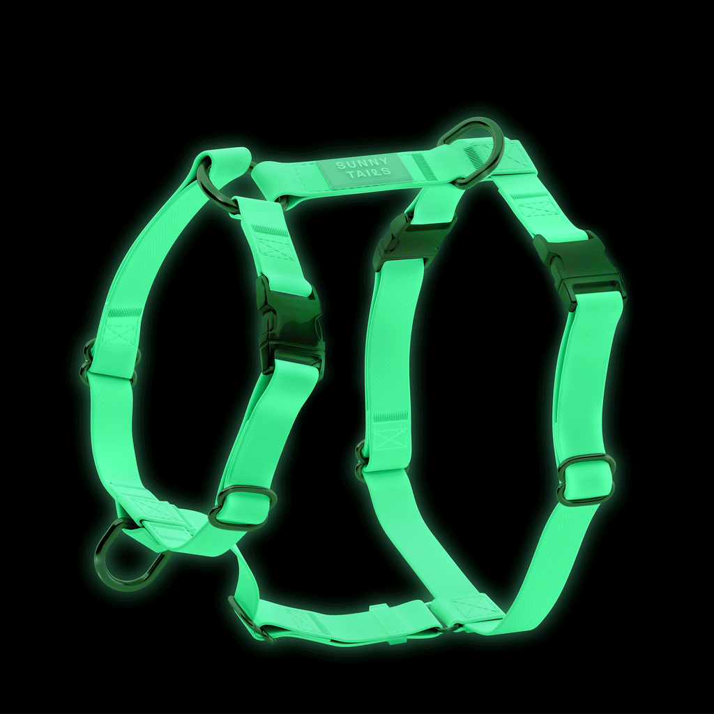 Lunar Glow Cloud Lite Dog Harness | Glow in Dark Waterproof Dog Harness ...